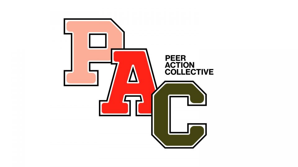 Peer Action Collective (PAC) Project - YPAS